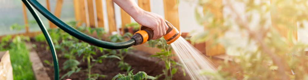 Ideal Uses for Rainwater Around Your Property | Rain Harvesting