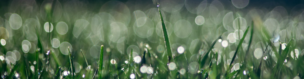 Grey Water Systems: A Sustainable Solution for Water Conservation ...