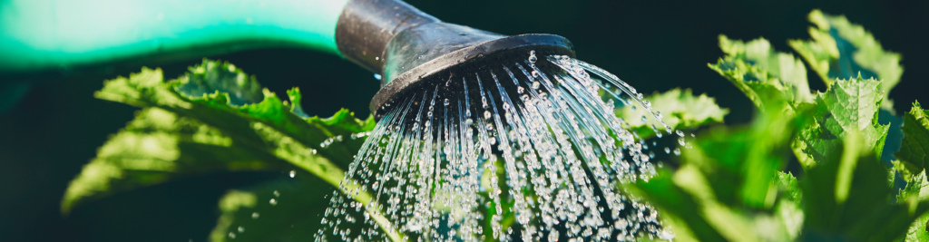 Our Main Uses of Water | Rain Harvesting by Blue Mountain Co