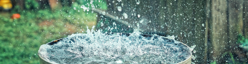 Rainwater Harvesting: A Beginner's Guide | Rain Harvesting