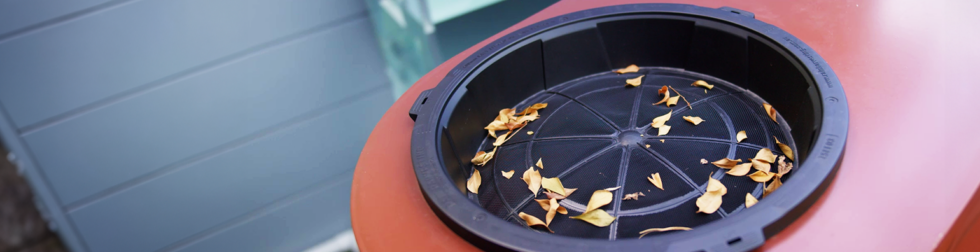 Why Keep Leaves and Debris out of your System | Rain Harvesting