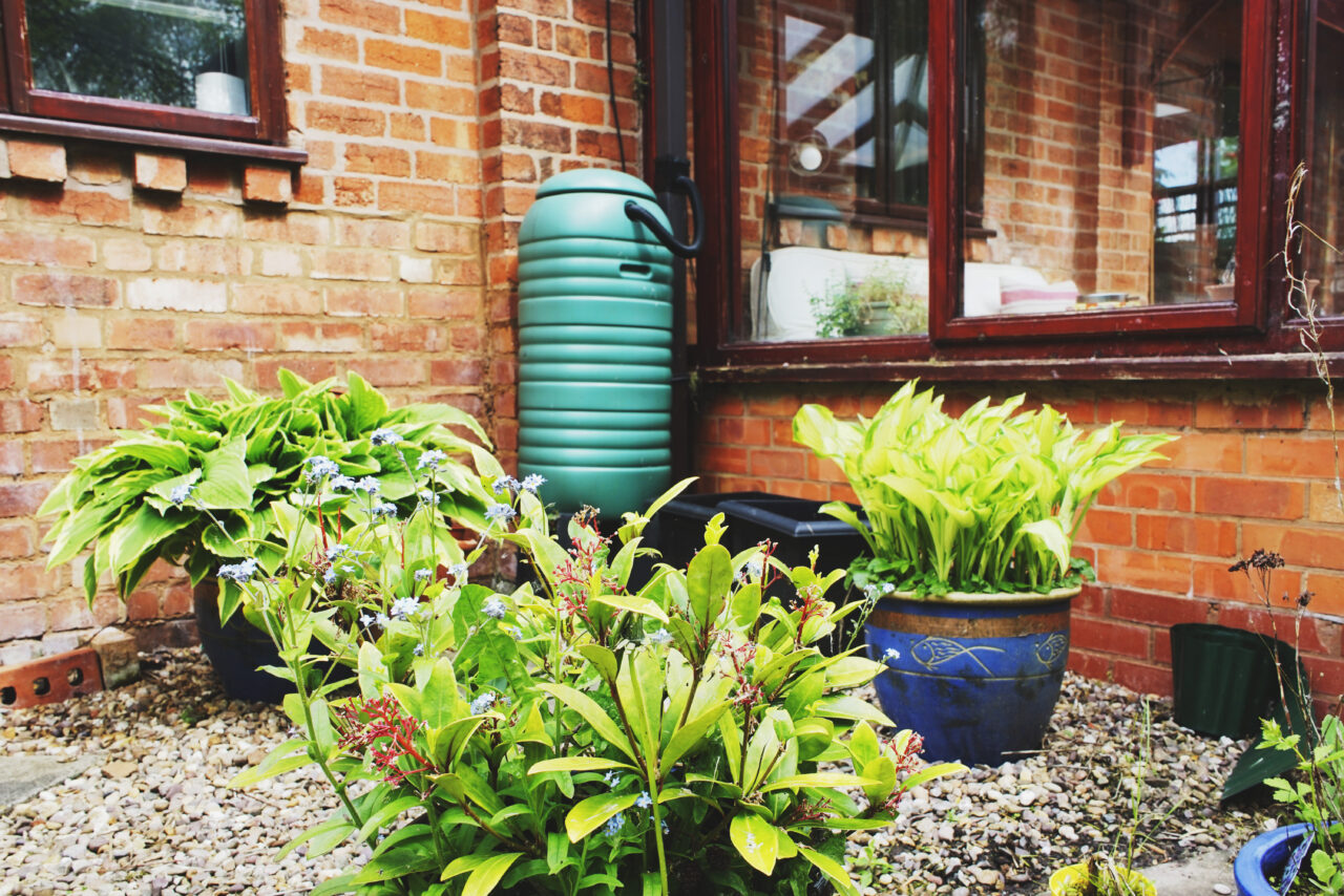 The Beginner's Guide to Rain Barrels | Rain Harvesting