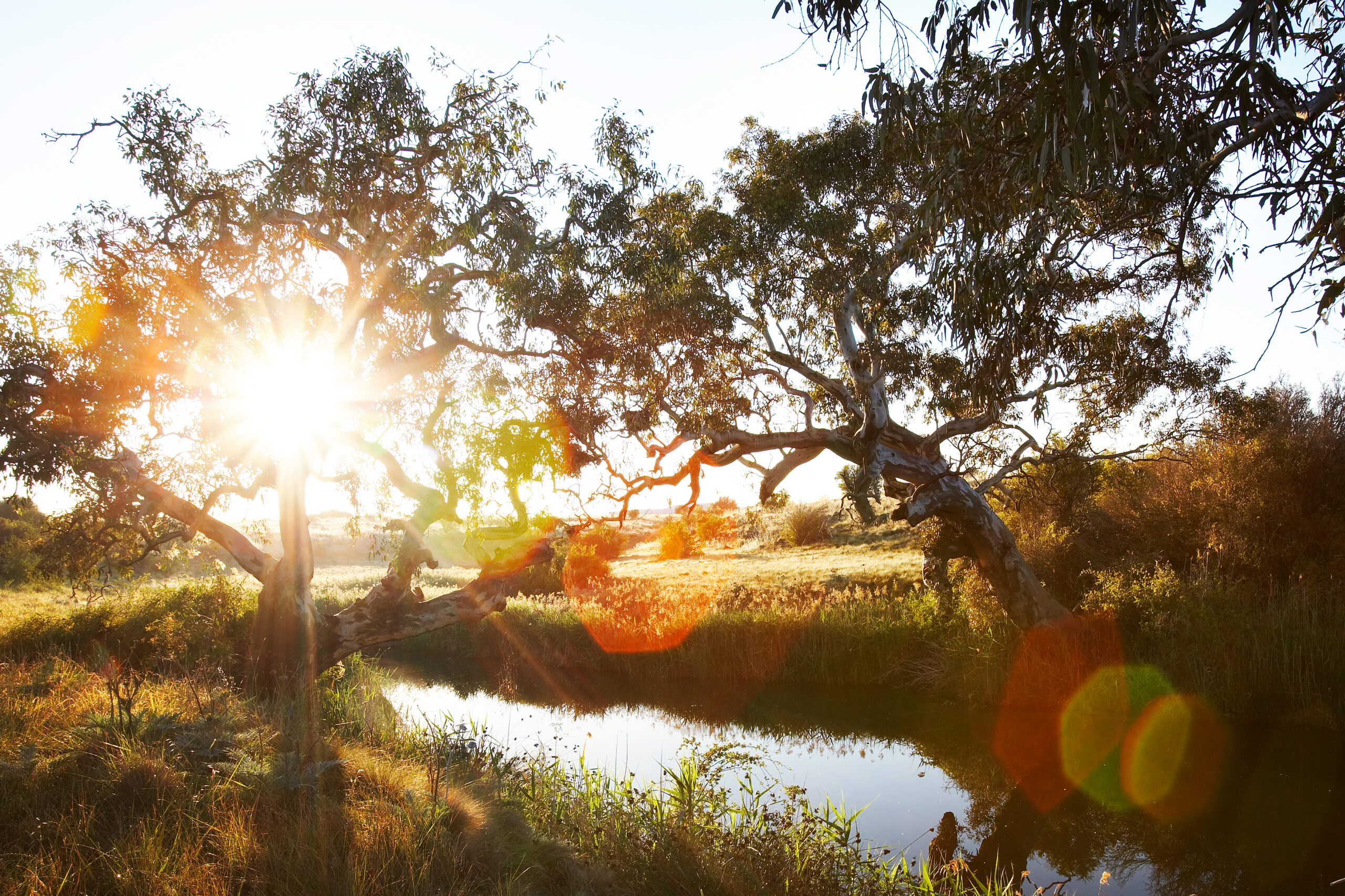 Water solutions for drought areas in Australia | Rain Harvesting